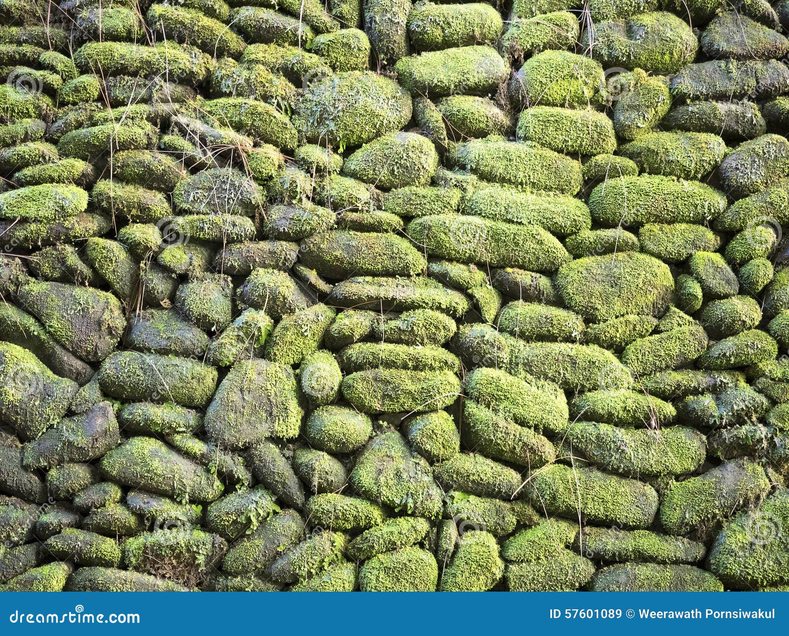 Moss Coverred Round Stone Wall Stock Image - Image of horizontal, frame ...