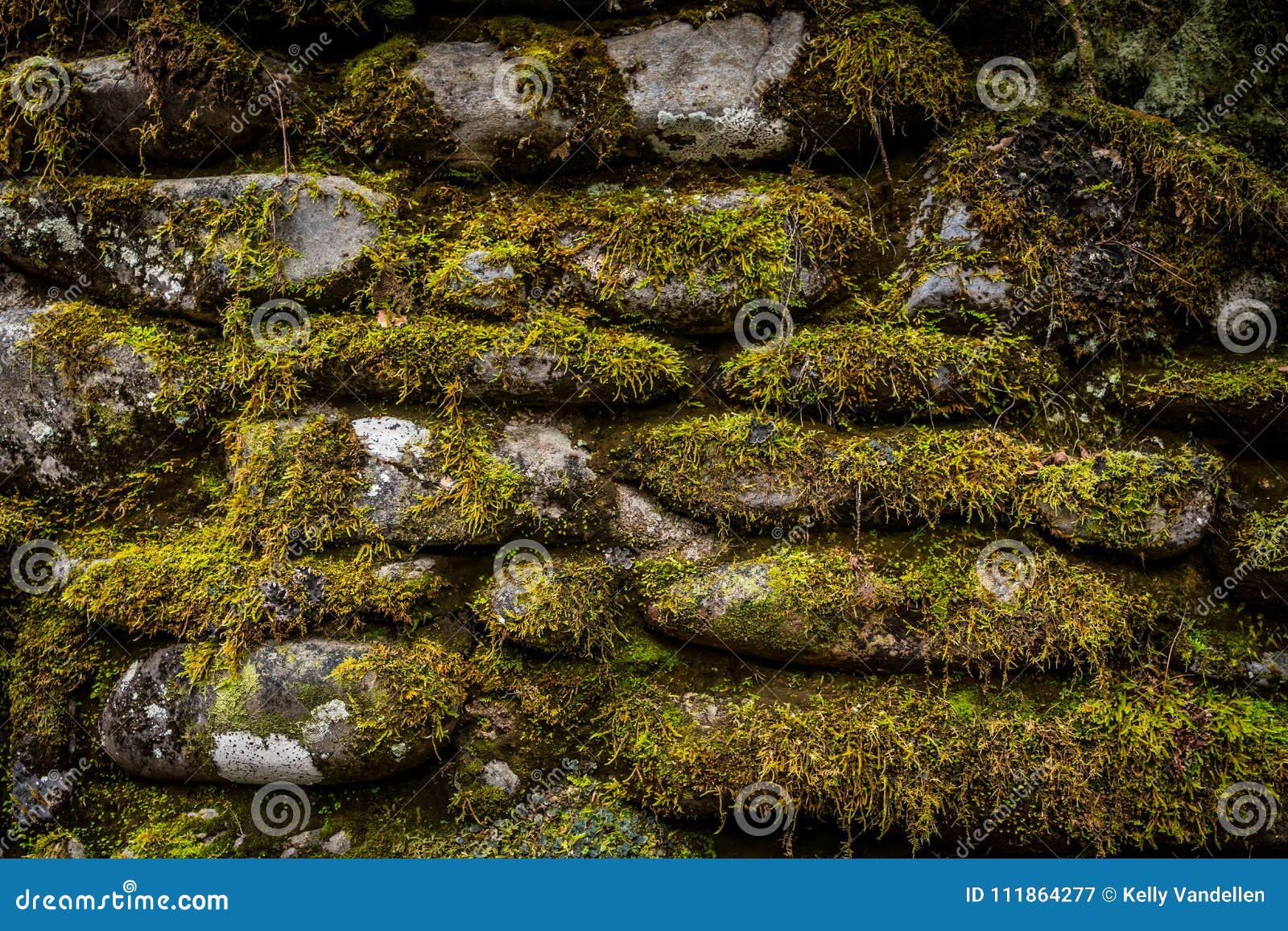 Moss Covers Stacked Rock Wall Stock Image - Image of close, backdrop ...