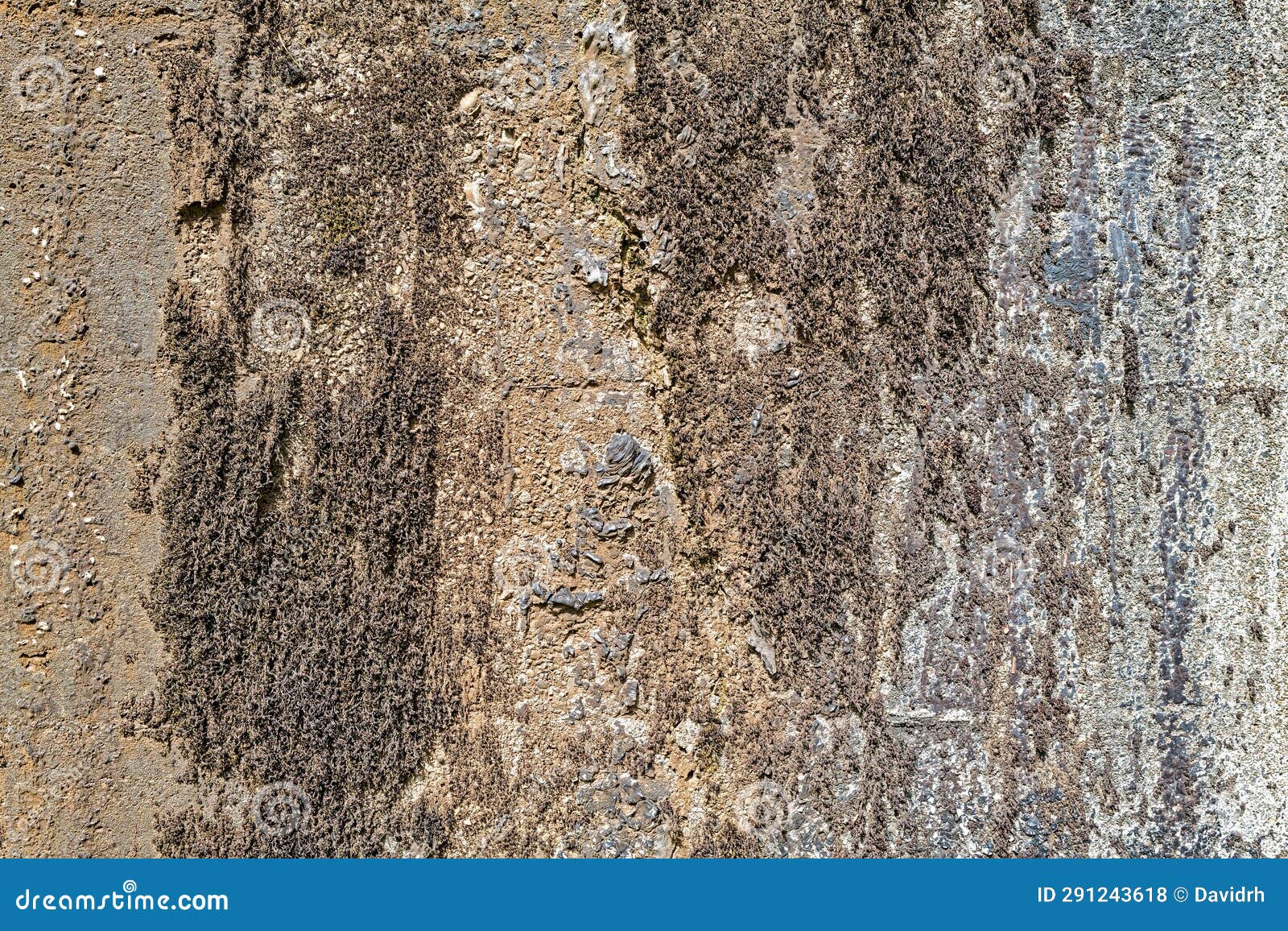 Moss and Dirt Encrusted on the Surface of a Concrete Foundation Stock ...