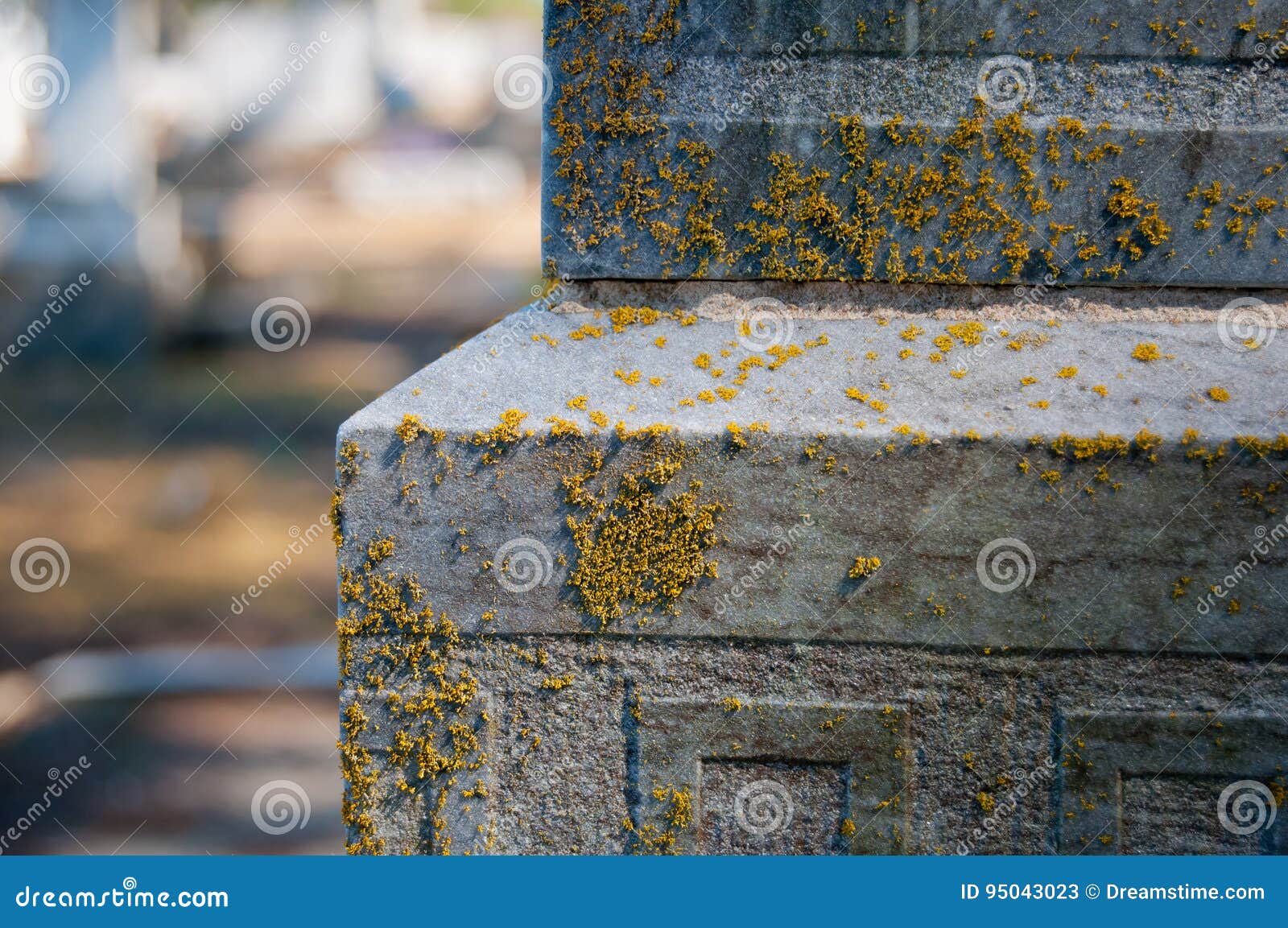 Moss on Gravestone stock image. Image of autumn, yellow - 95043023