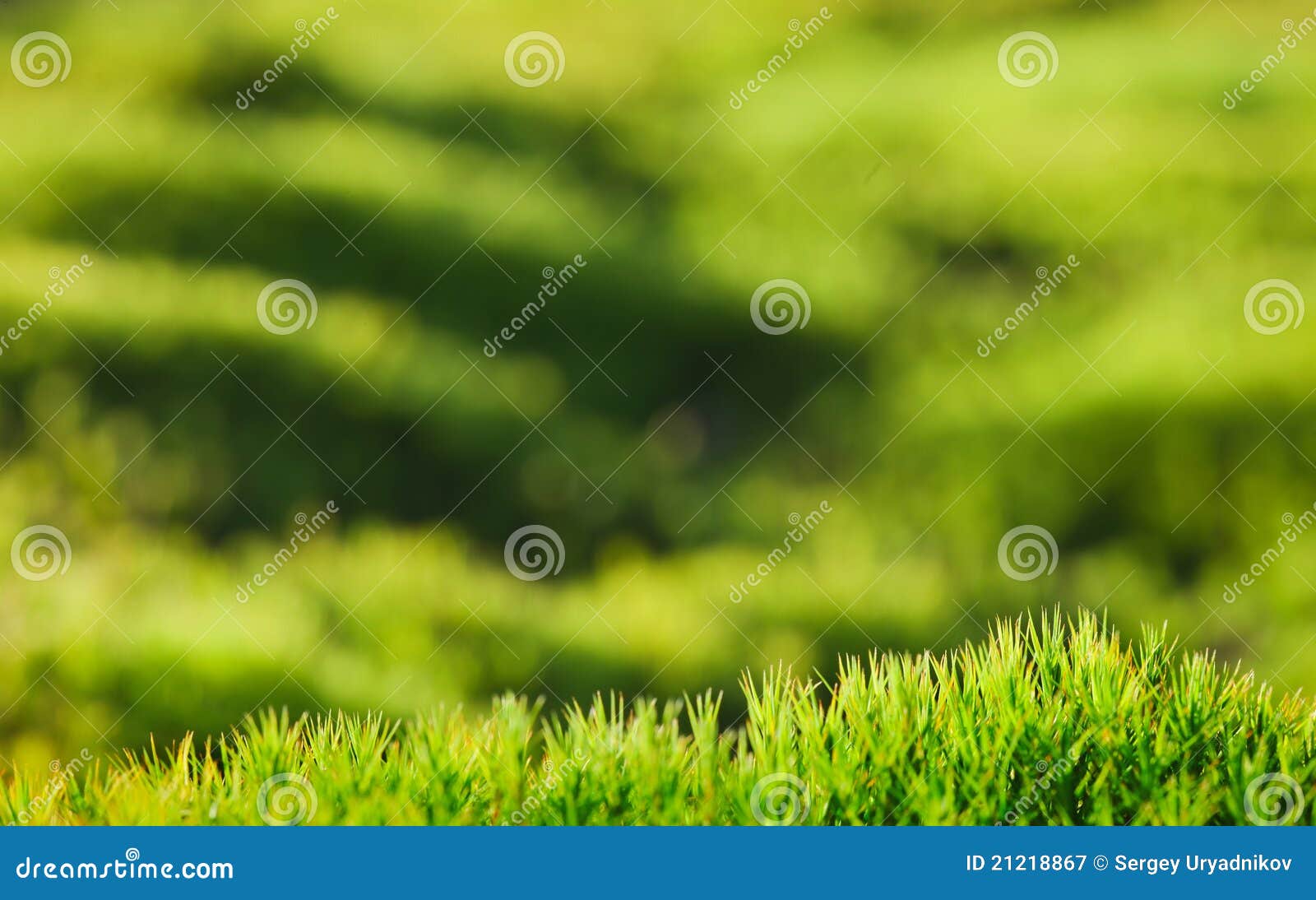 Moss green background. stock image. Image of color, abstract - 21218867