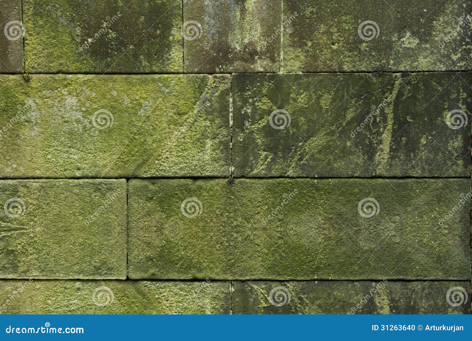 Moss Green Grass Background Texture Stock Photo - Image of moss, nature ...