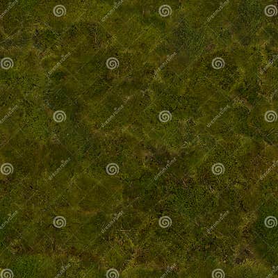 Moss Ground Albedo Map, Diffuse Map Texture Stock Illustration ...