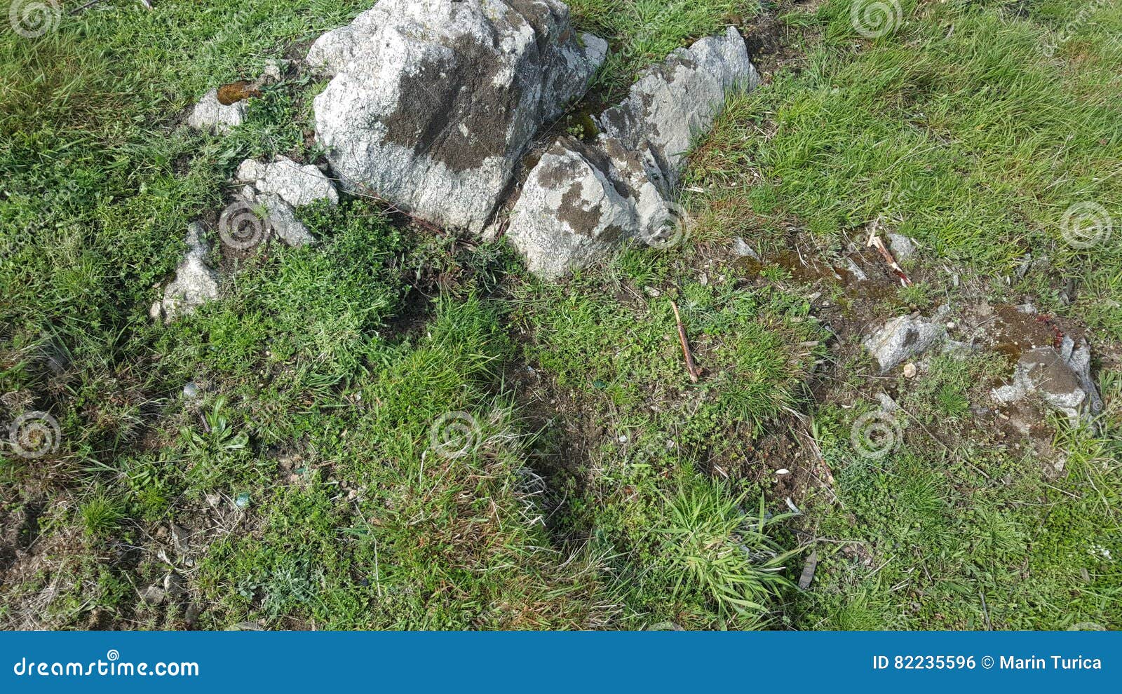 Moss grow on mountain rock stock photo. Image of pattern - 82235596