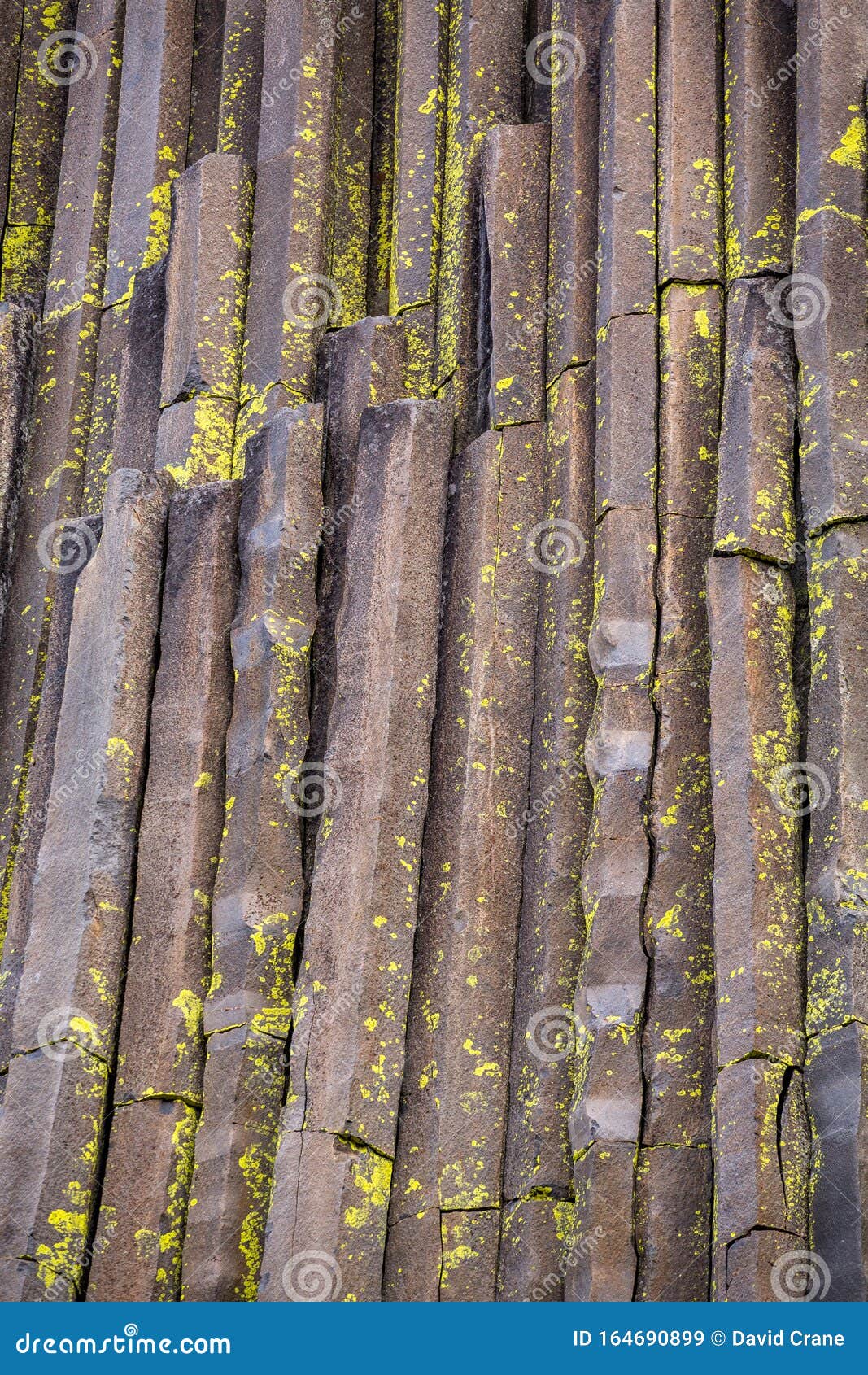 Moss Growing on Hexagonal Basalt Columns Stock Image - Image of green ...