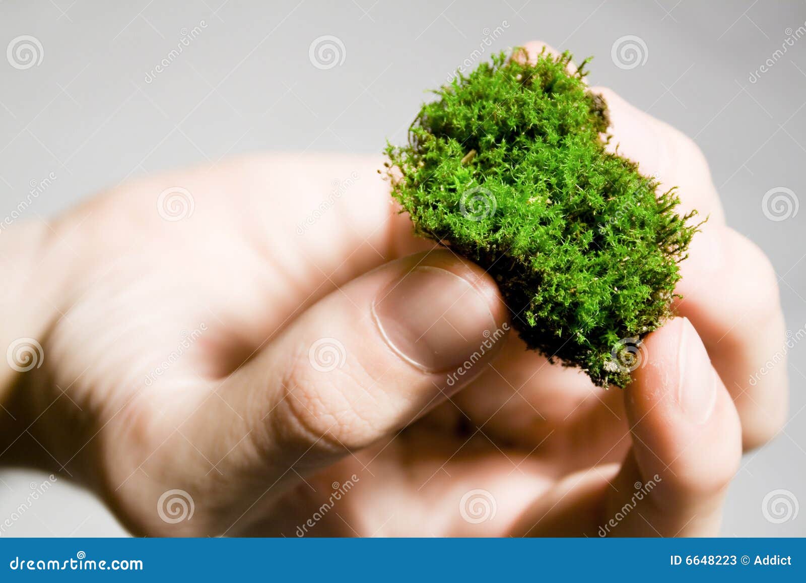 Moss in hand 2 stock image. Image of giving, development - 6648223