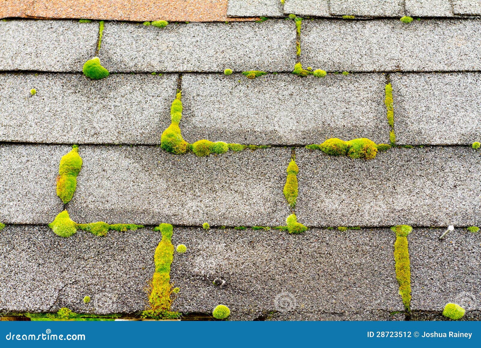 Moss on House Roof stock photo. Image of estate, home - 28723512