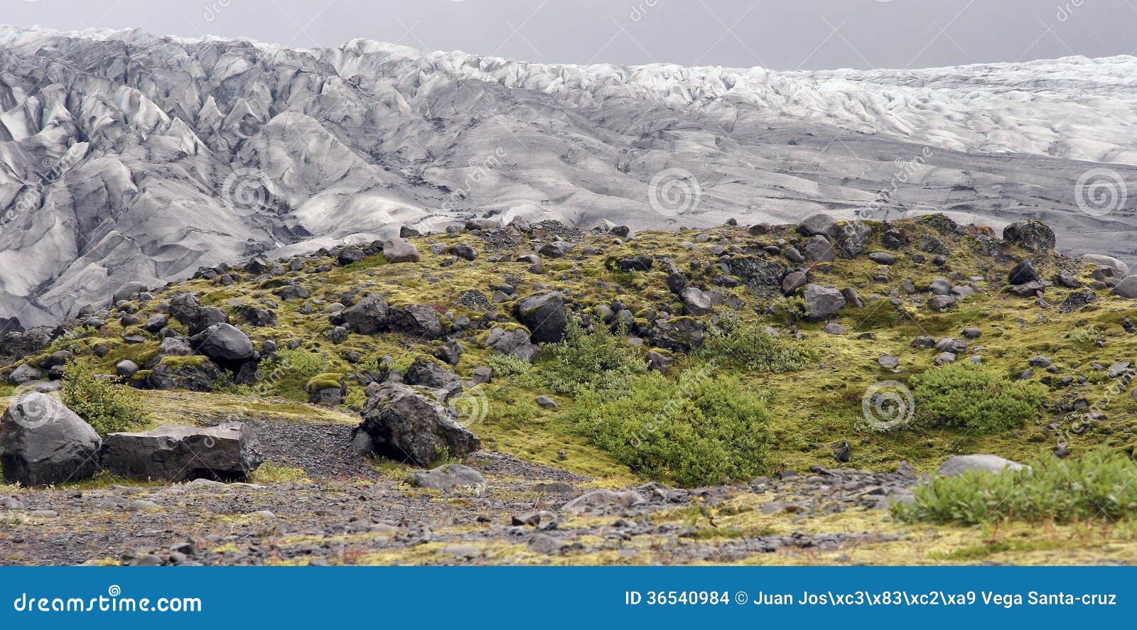 Moss and ice stock photo. Image of winter, glacier, climate - 36540984