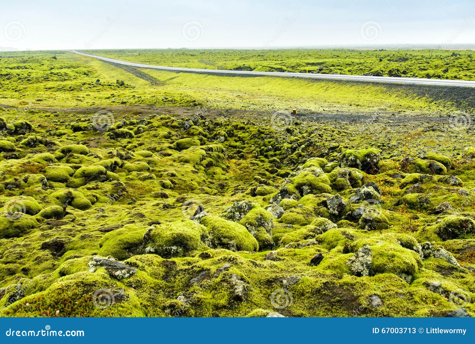 Moss Lava Rock, Iceland stock image. Image of tourism - 67003713