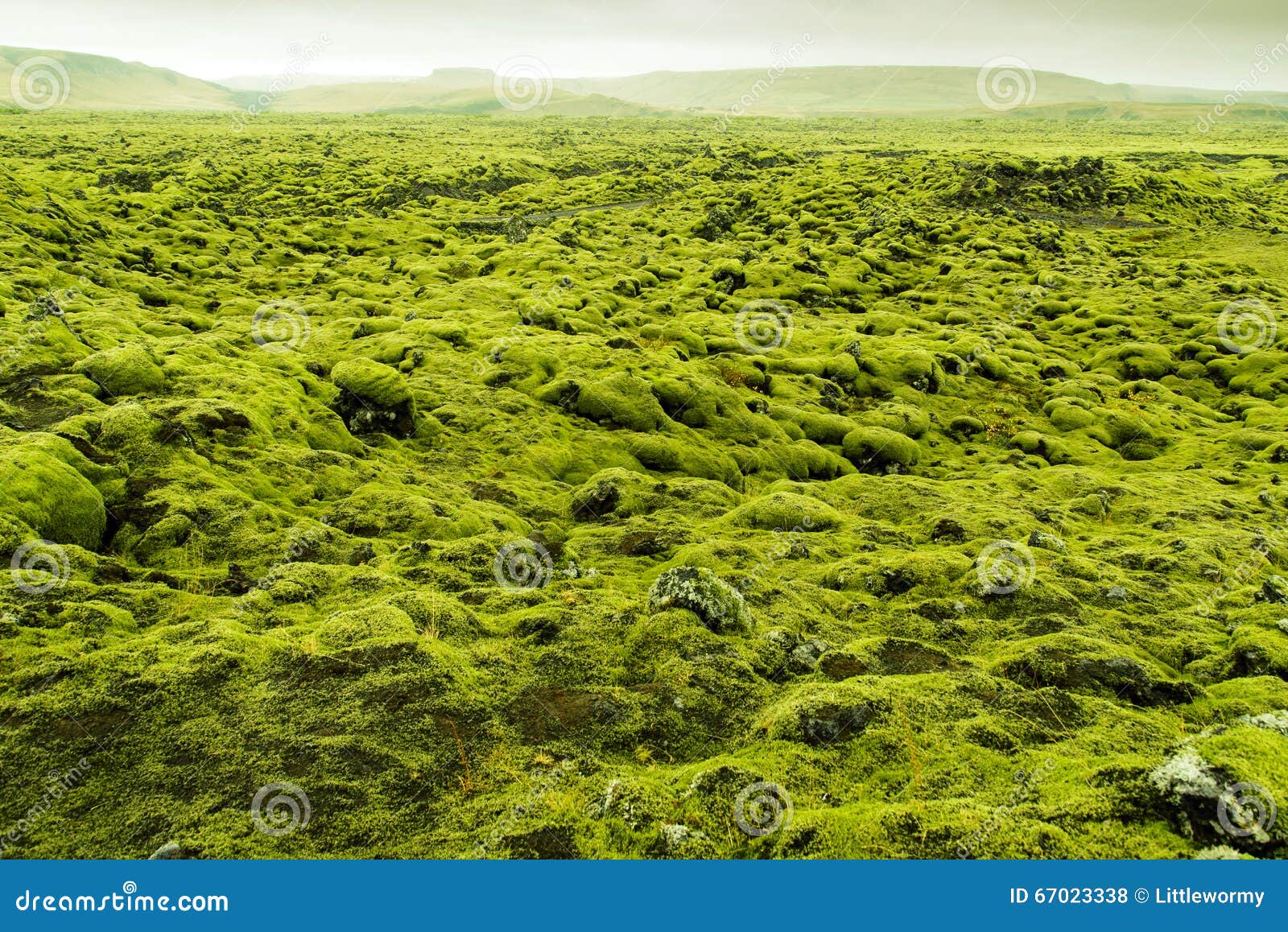 Moss Lava Rock, Iceland stock photo. Image of activity - 67023338