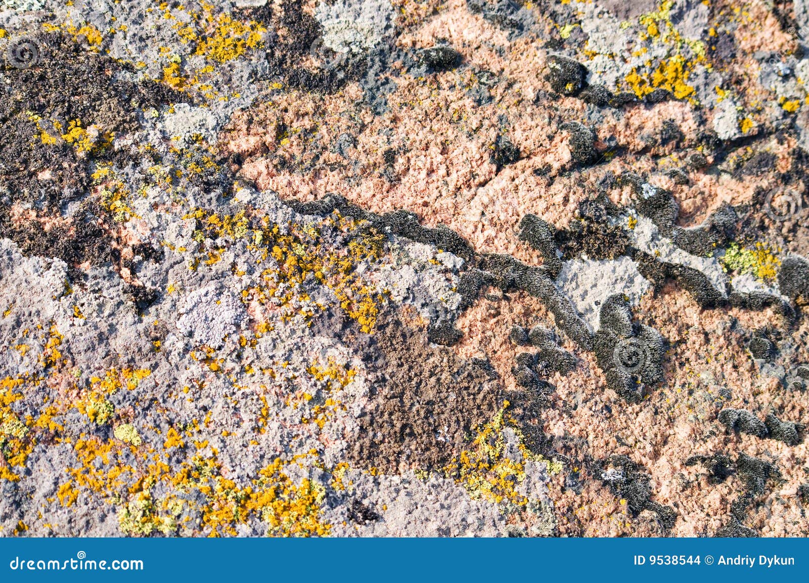 Moss and Lichen on Granite Stone Stock Photo - Image of green, macro ...