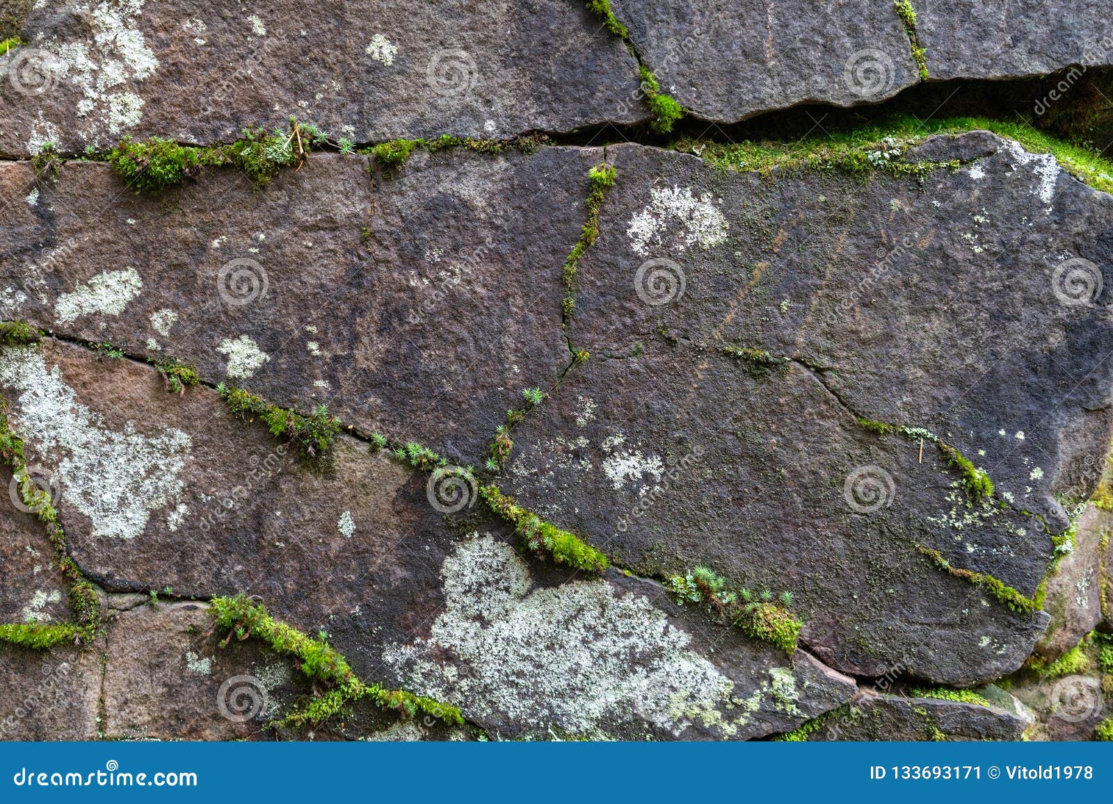 Moss and Lichen Growing on the Rock. Stock Image - Image of beauty ... Moss and Lichen Growing on the Rock. Stock Image - Image of beauty ...