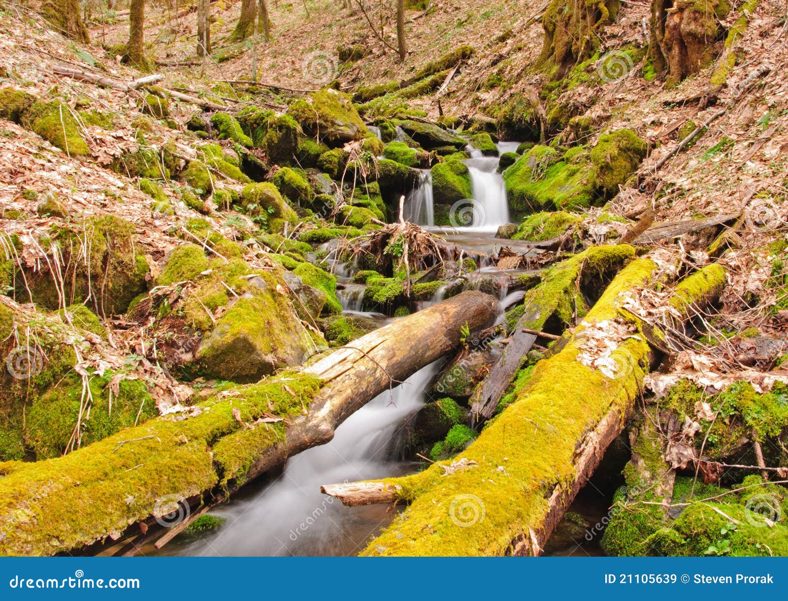 Moss on Logs in a Mountain Stream Stock Image - Image of flora, creek ...