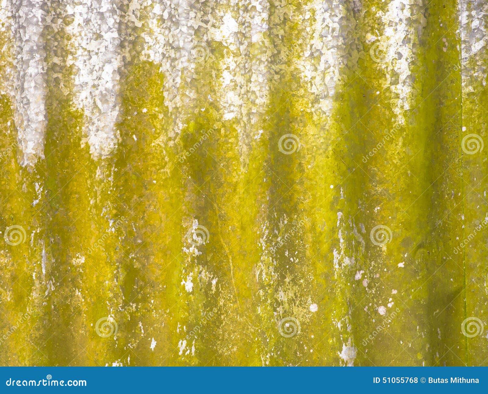 Moss on metal sheet stock photo. Image of nature, lichen - 51055768