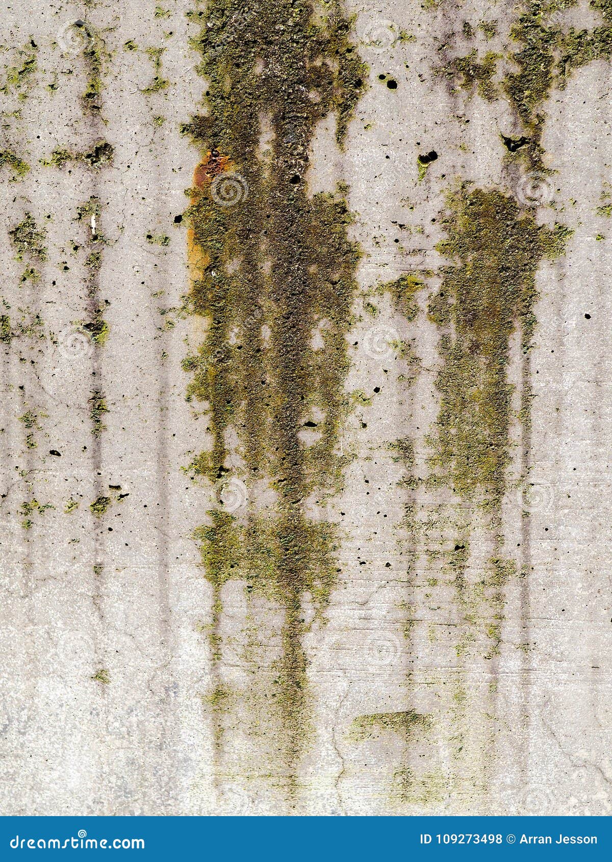 148 Mold Streaks Stock Photos - Free & Royalty-Free Stock Photos from ...