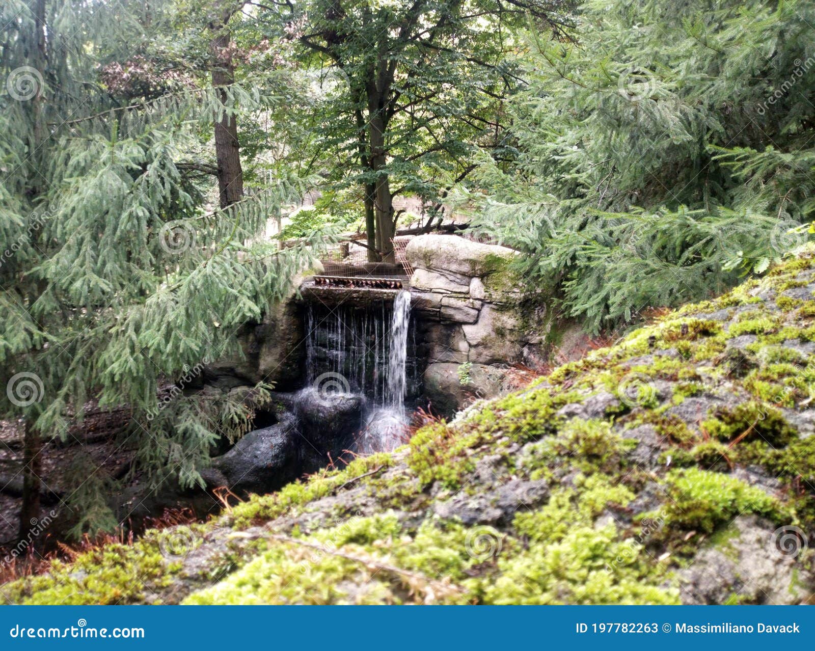 Moss Nature Forest Waterfall Green Color Stock Image - Image of green ...