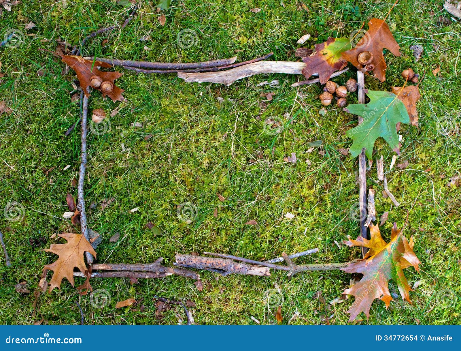 Moss and Oak Leaves Background Stock Photo - Image of nature, golden ...