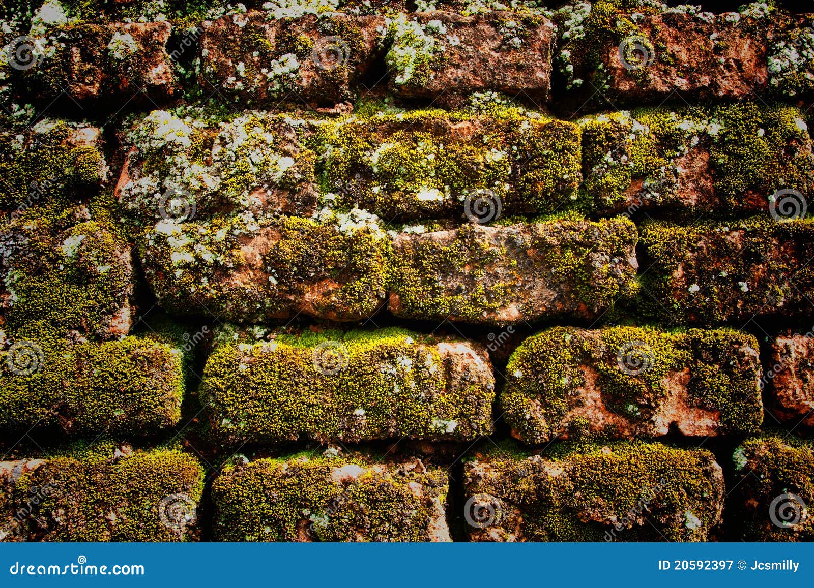 Moss on the old brick wall stock image. Image of brickwork - 20592397