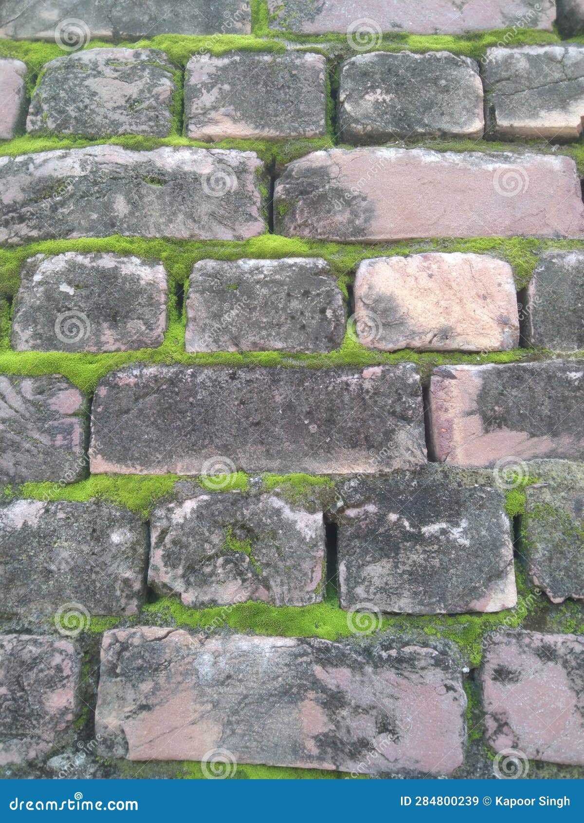 Moss on the Old Bricks Wall Stock Image - Image of wall, village: 284800239