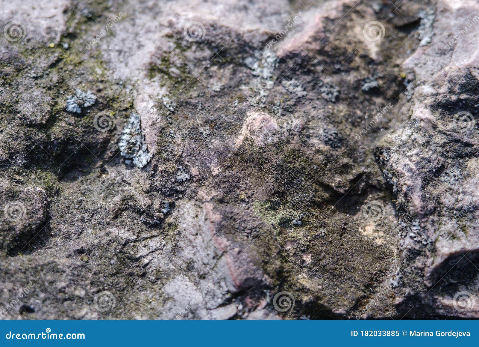Moss on the Old Stone Surface. Natural Stone Surface Texture Background ...