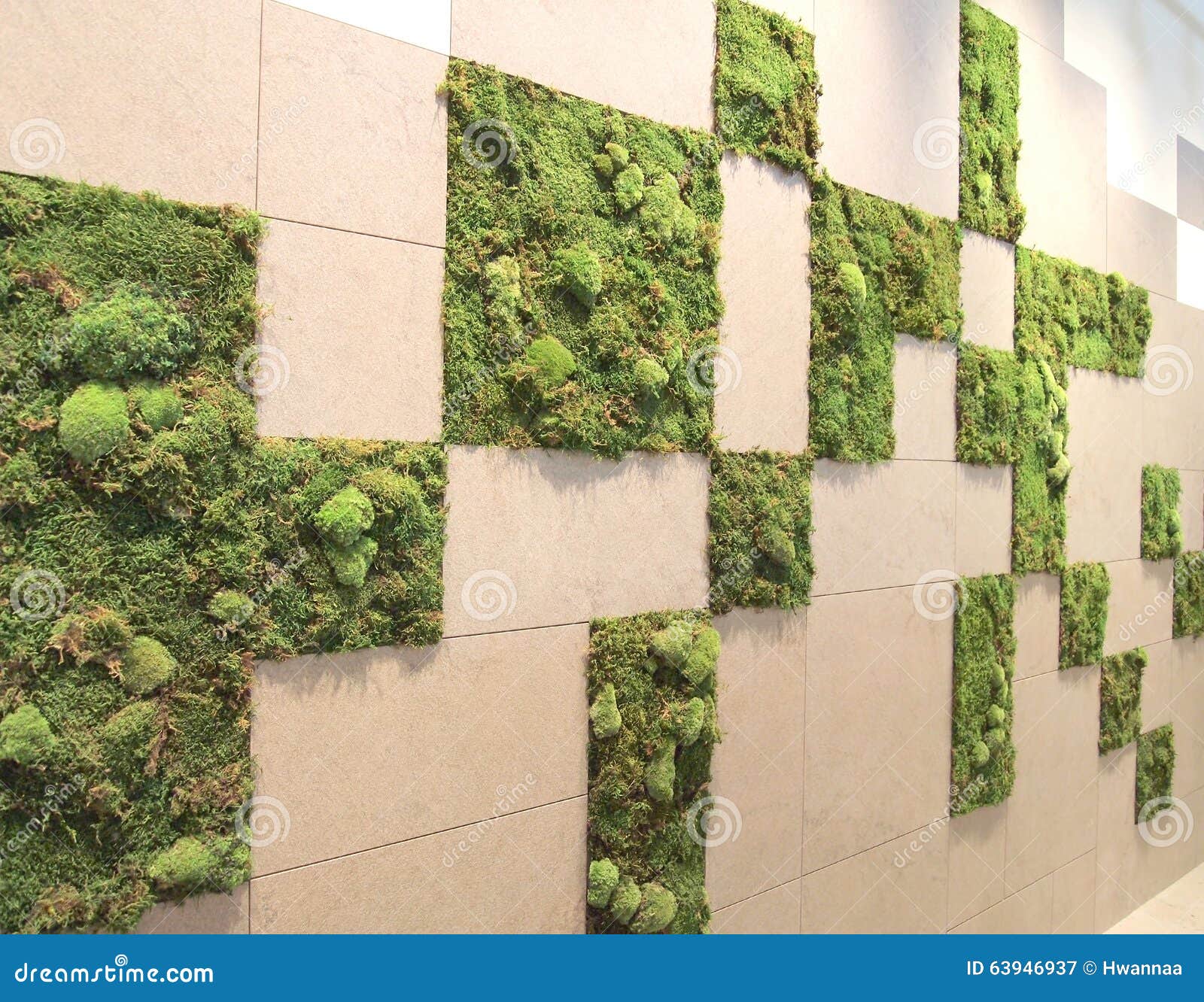 Moss pattern wall stock image. Image of natural, outdoor - 63946937