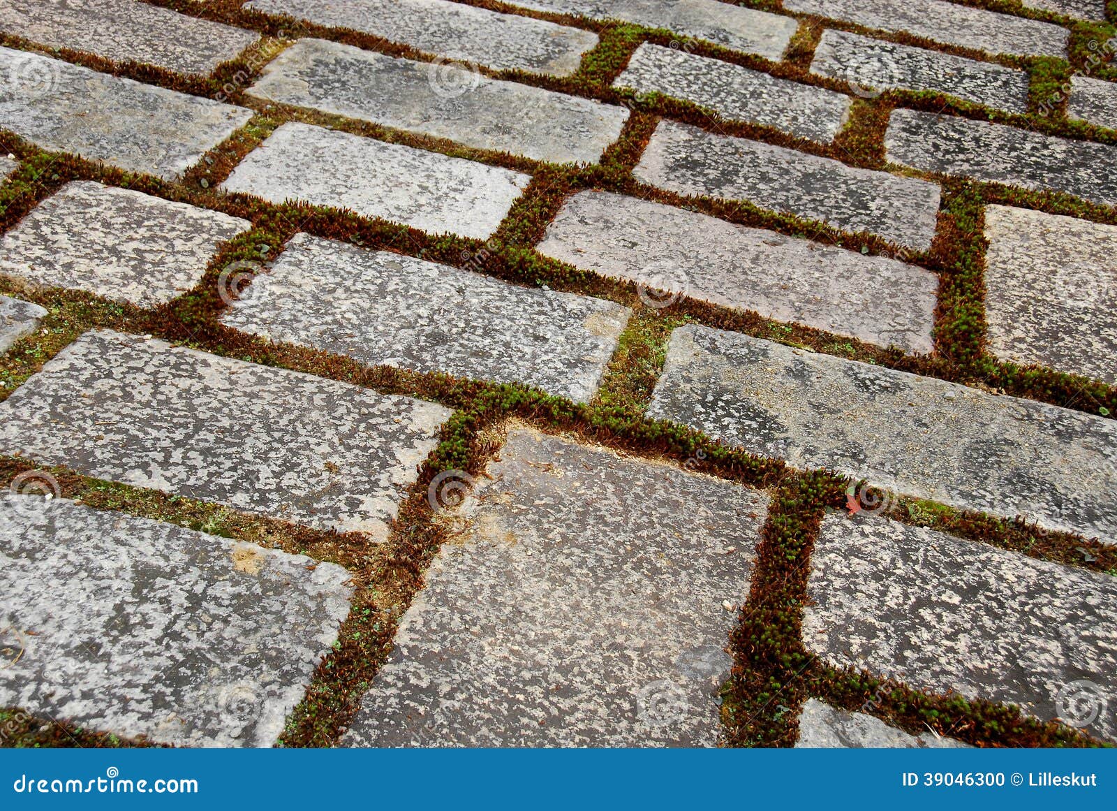 Moss paving stock photo. Image of footpath, gray, city - 39046300