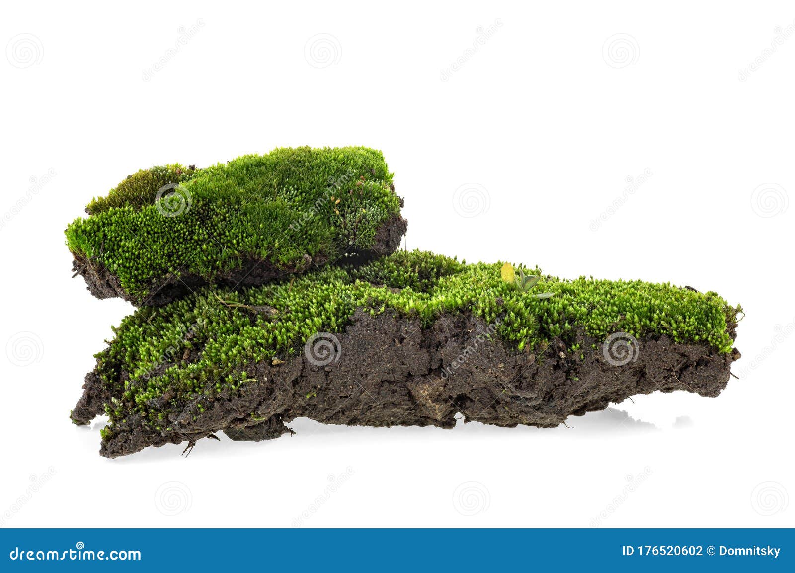 Moss on Pile of Dirt Isolated on White Background Stock Photo - Image ...