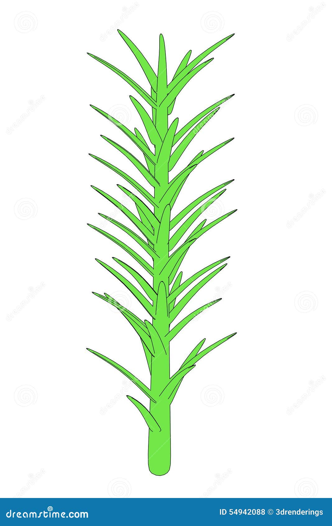 Moss plant stock illustration. Illustration of plant - 54942088