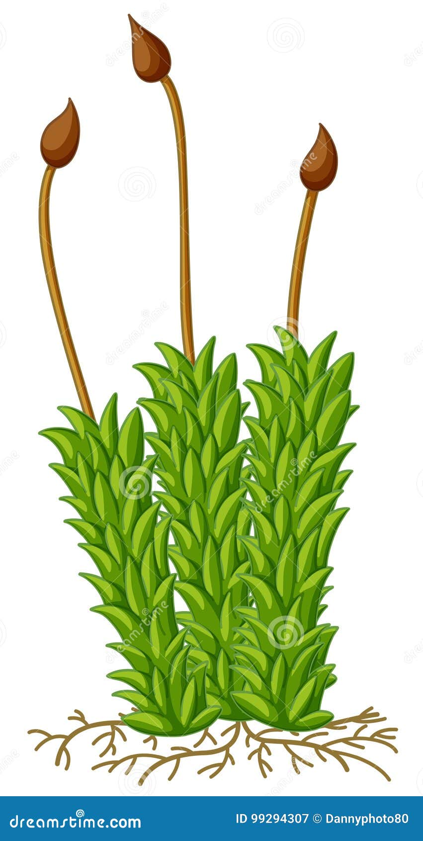 Moss Cartoons, Illustrations & Vector Stock Images - 9779 Pictures to ...