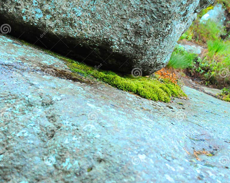 Moss & Rock stock photo. Image of botany, beneath - 5757418
