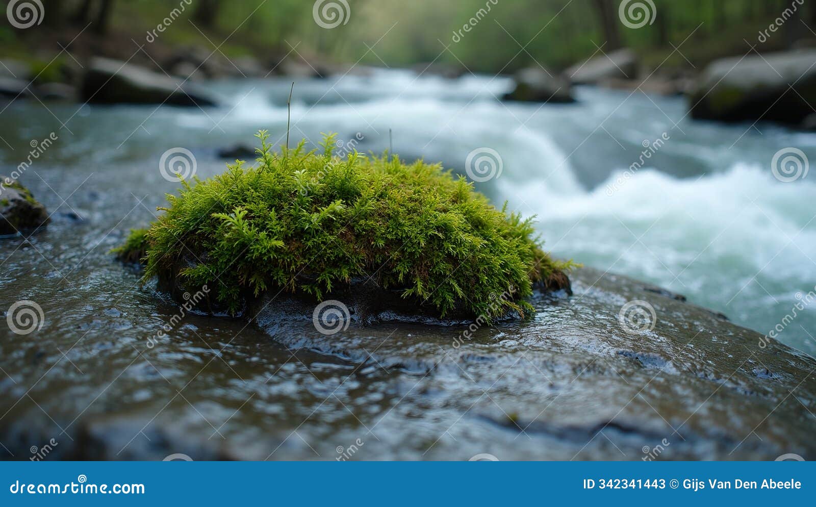 Moss on Rock in River Resilient Symbol Stock Illustration ...