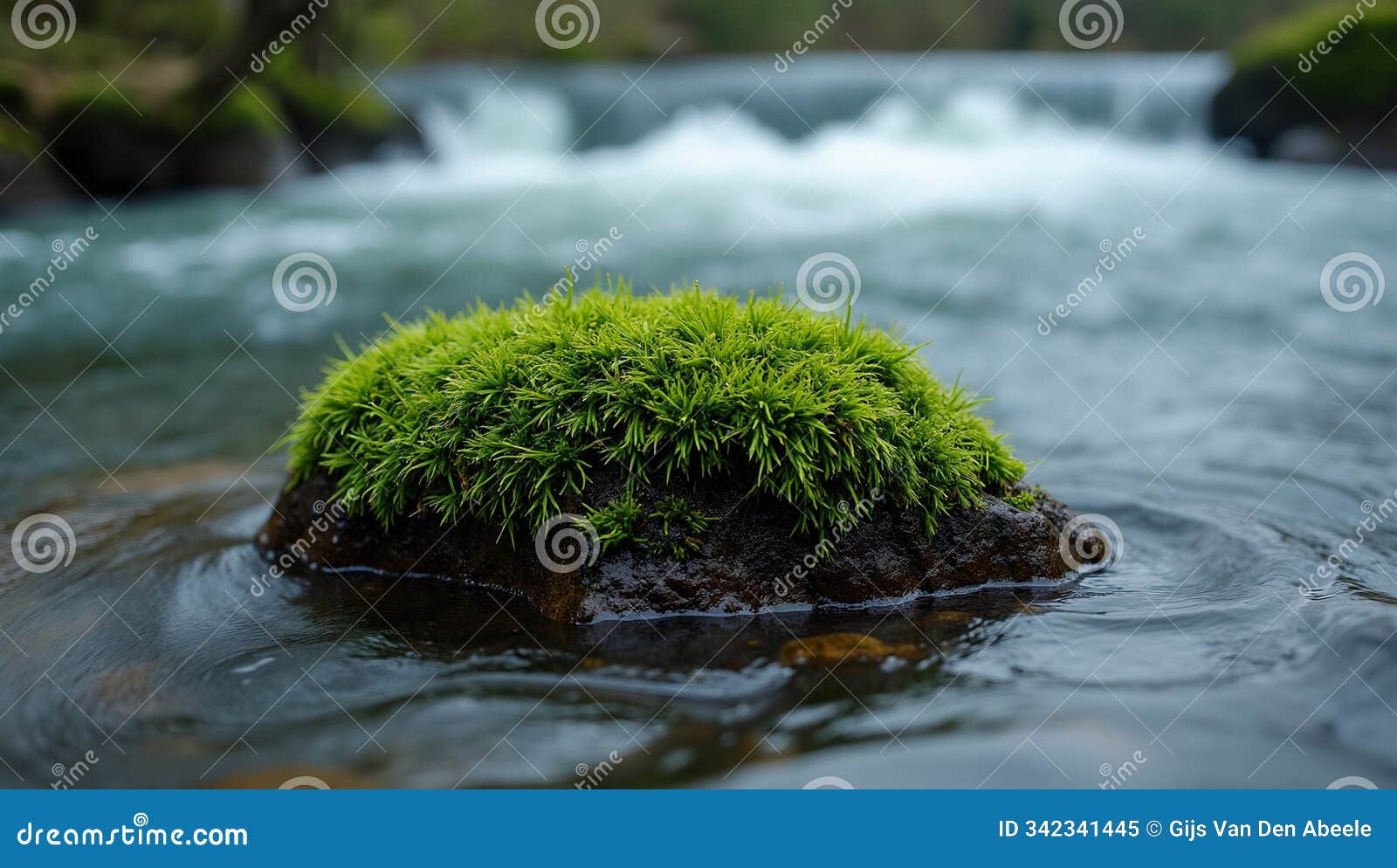 Moss on Rock in River Resilient Symbol Stock Illustration ...