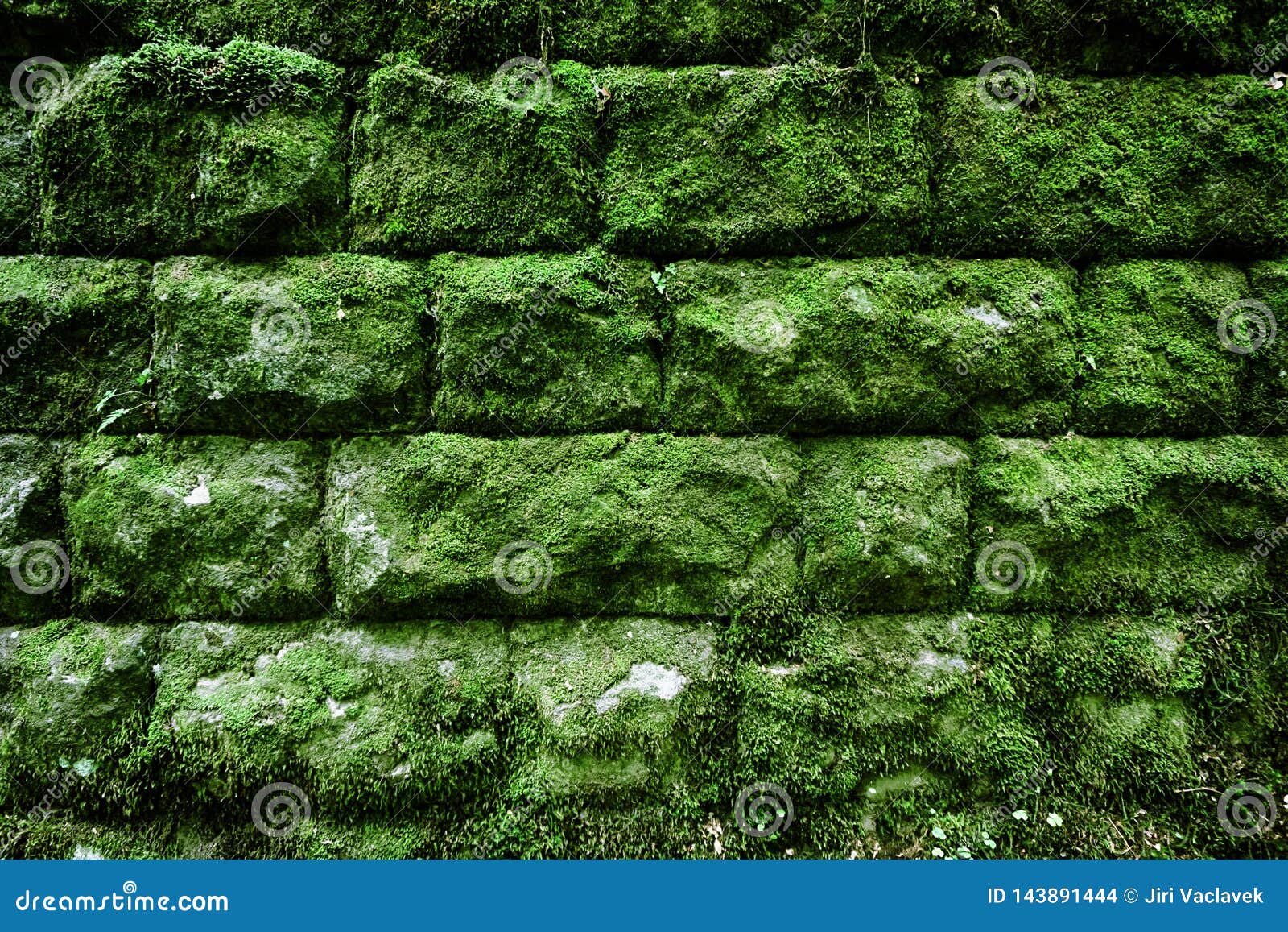Moss On A Rock Face. Relief And Texture Of Stone With Patterns And Moss ...