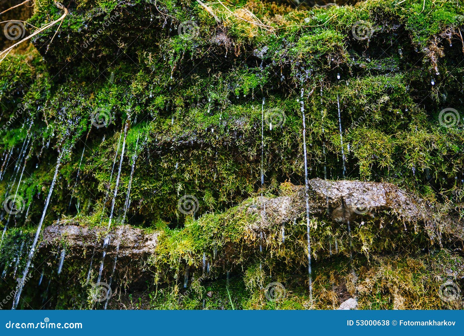 Moss on the Rock with Water Jets Stock Photo - Image of outdoor ...
