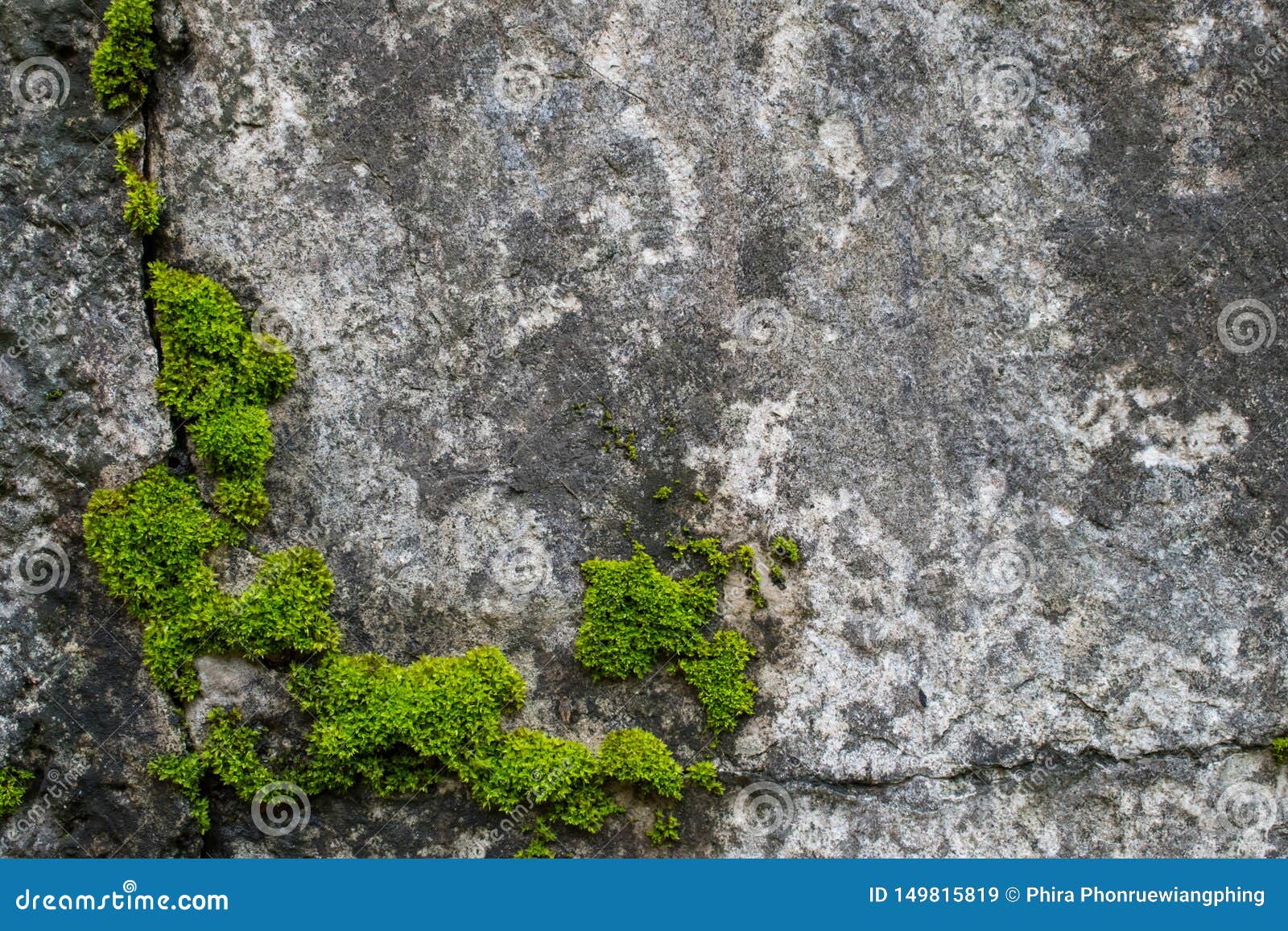 Moss on the Rocks. Natural. Stock Image - Image of macro, design: 149815819