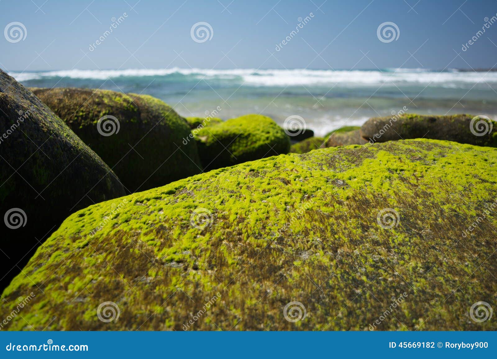 Moss on rocks stock photo. Image of angourie, rocks, australia - 45669182