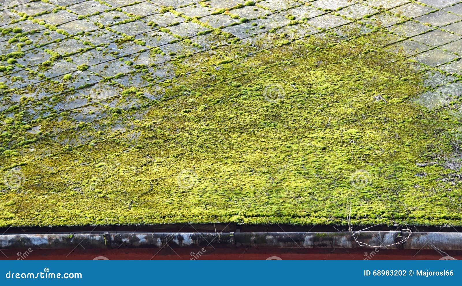 Moss on the Roof of a Building Stock Photo - Image of moss, ruined ...