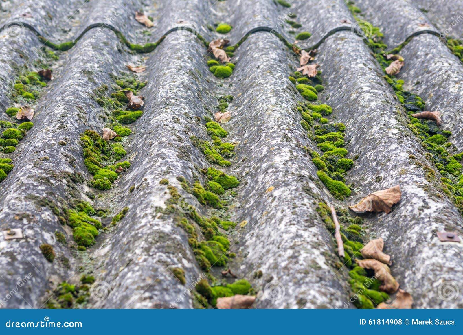 Moss on roof stock photo. Image of texture, structure - 61814908
