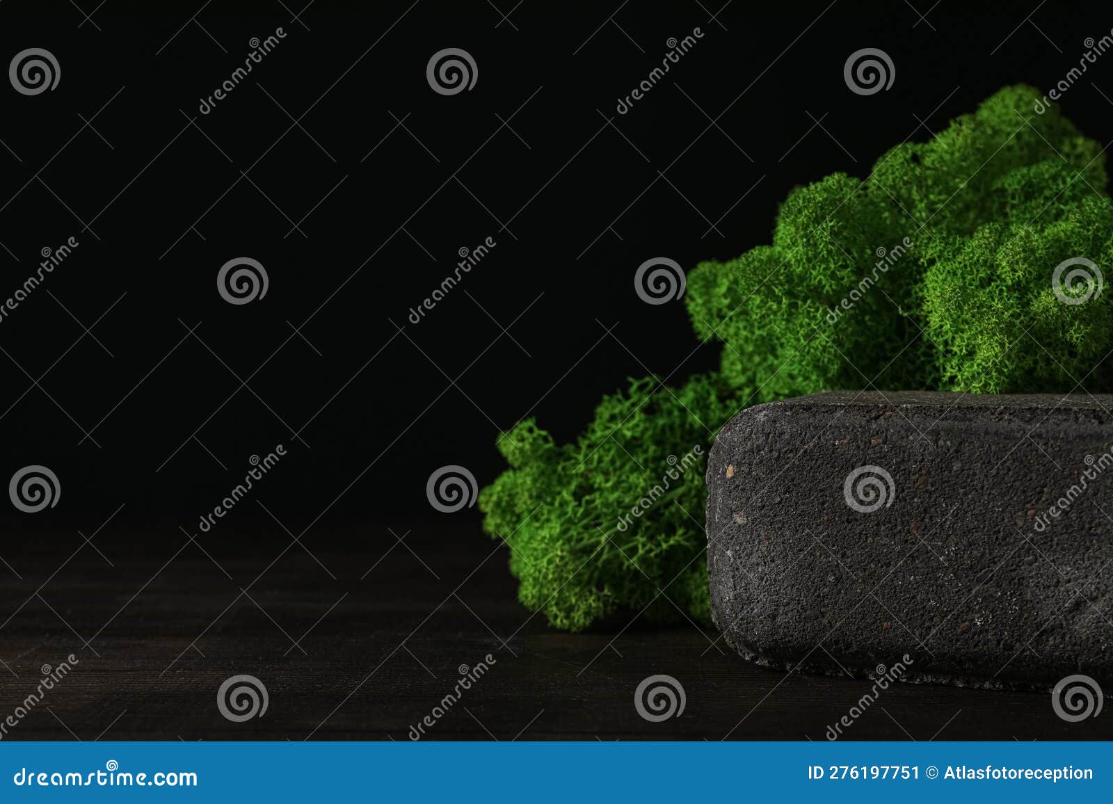 Moss, Space for Text, Concept of Different Backgrounds Stock Image ...