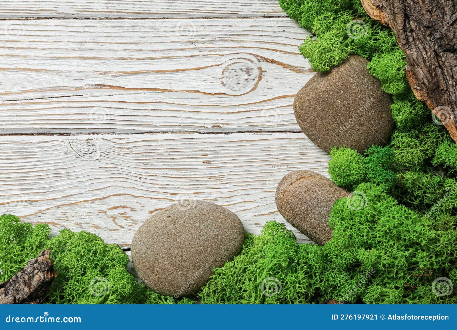 Moss, Space for Text, Concept of Different Backgrounds Stock Image ...