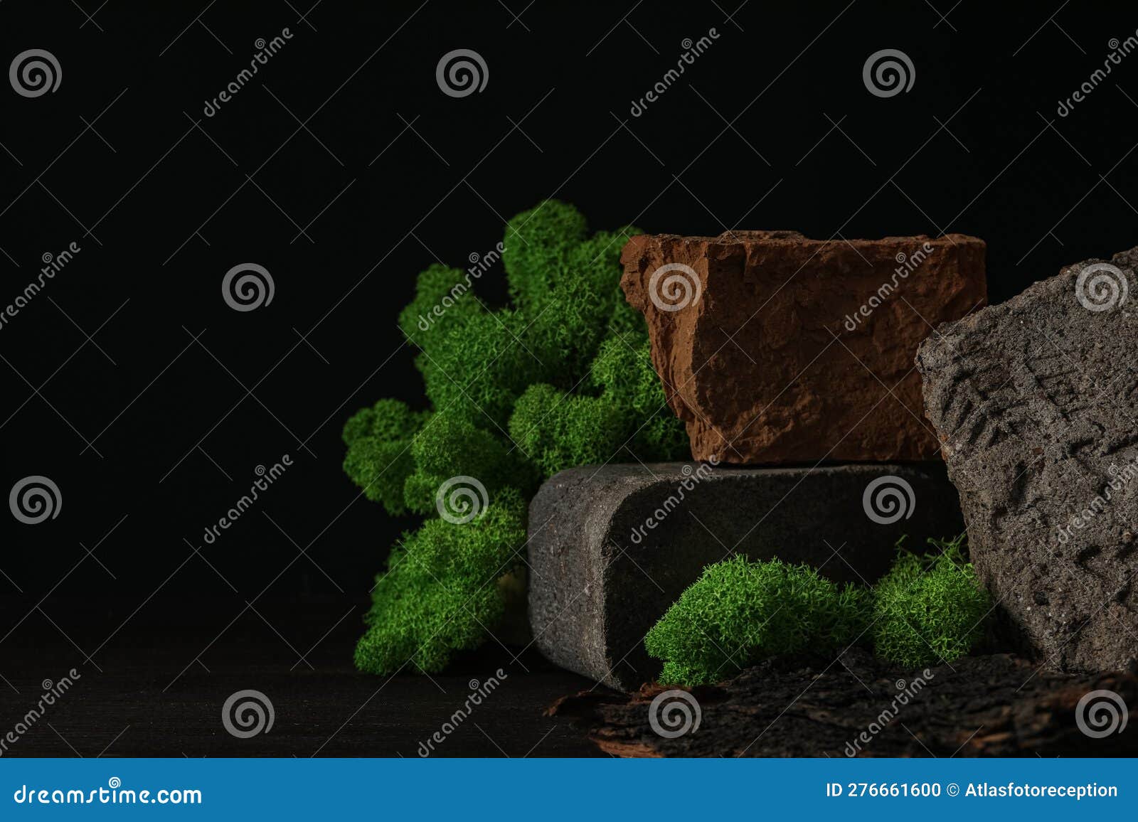 Moss, Space for Text, Concept of Different Backgrounds Stock Photo ...