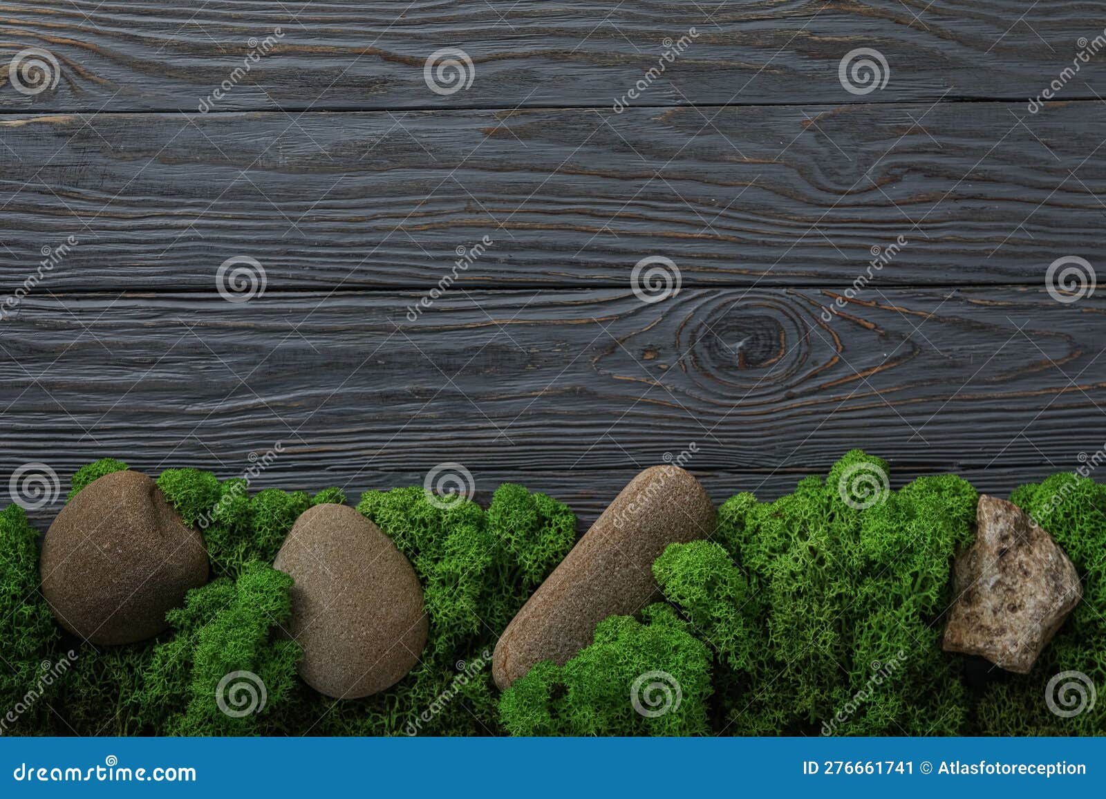 Moss, Space for Text, Concept of Different Backgrounds Stock Image ...