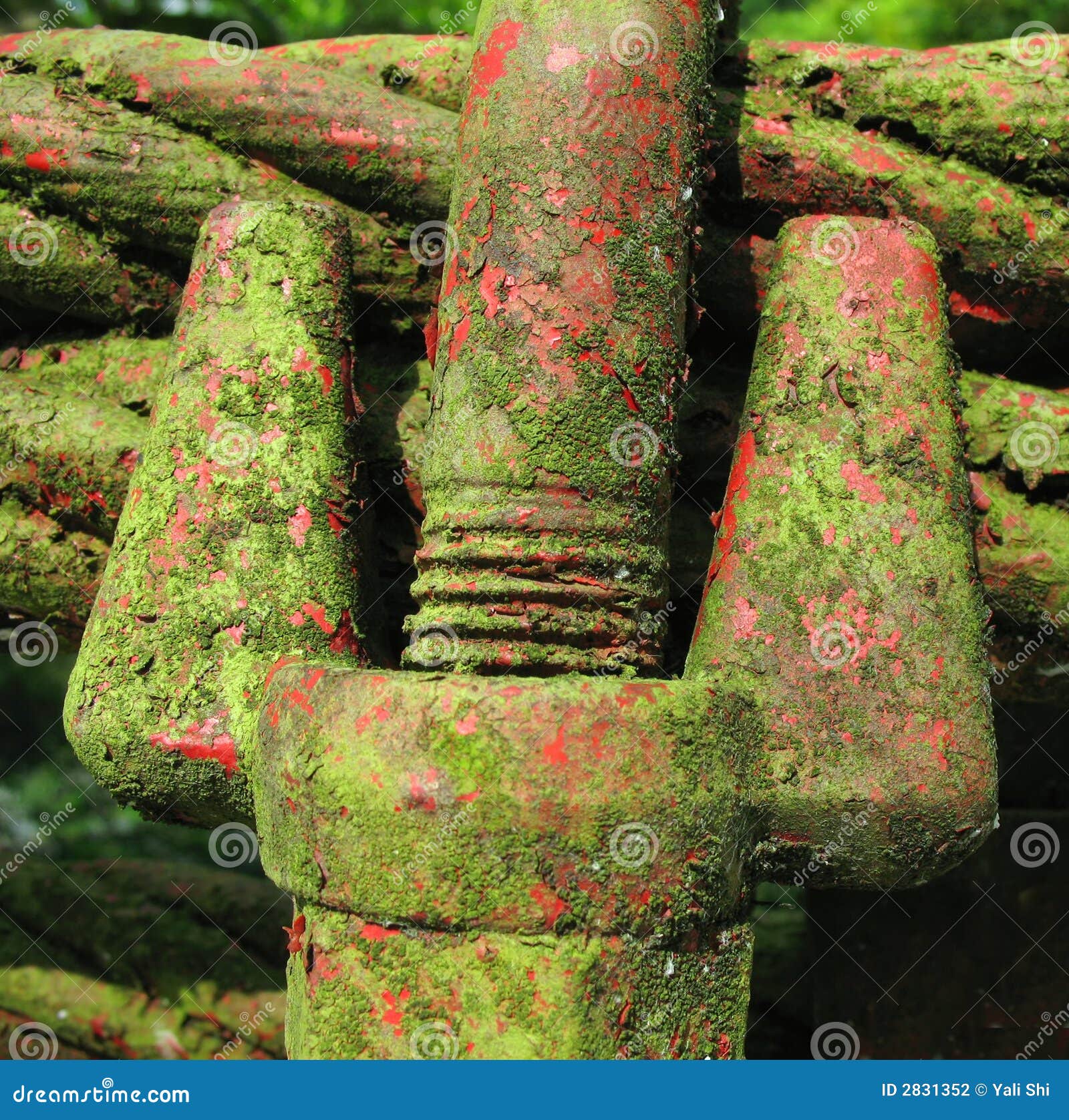 Moss and Steel stock photo. Image of rust, moss, bolt - 2831352