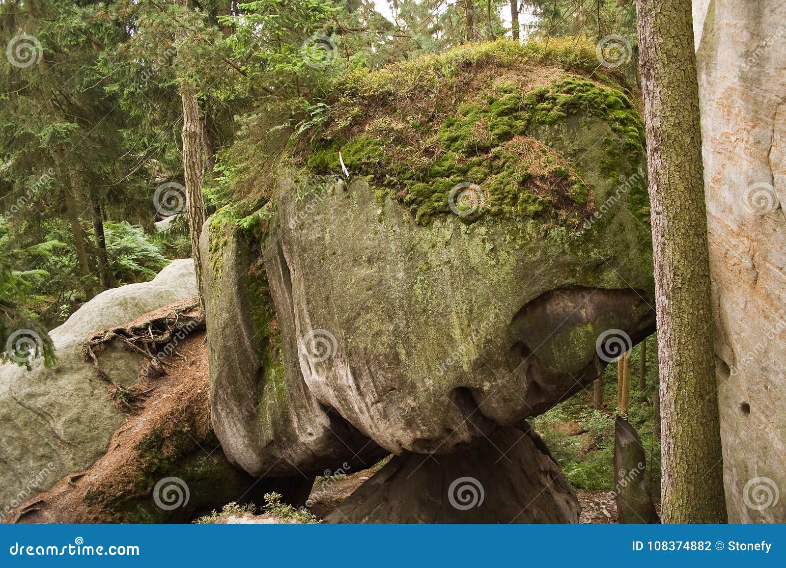 Moss Stone between Rocks in Forest Stock Photo - Image of conifer ...