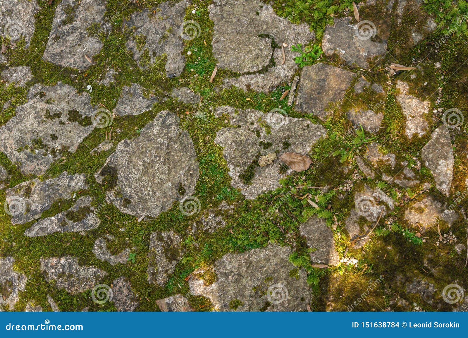 Mossy Cobblestone Texture