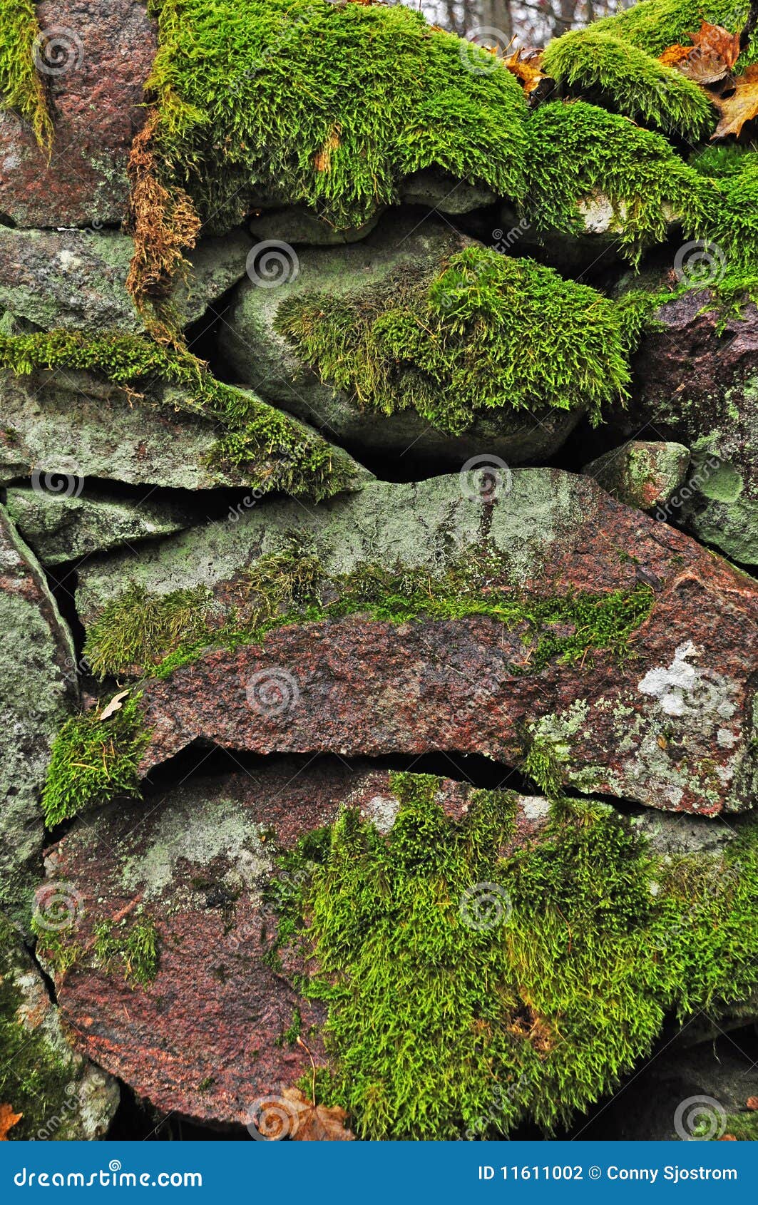 Moss on stone wall stock photo. Image of exterior, rural - 11611002