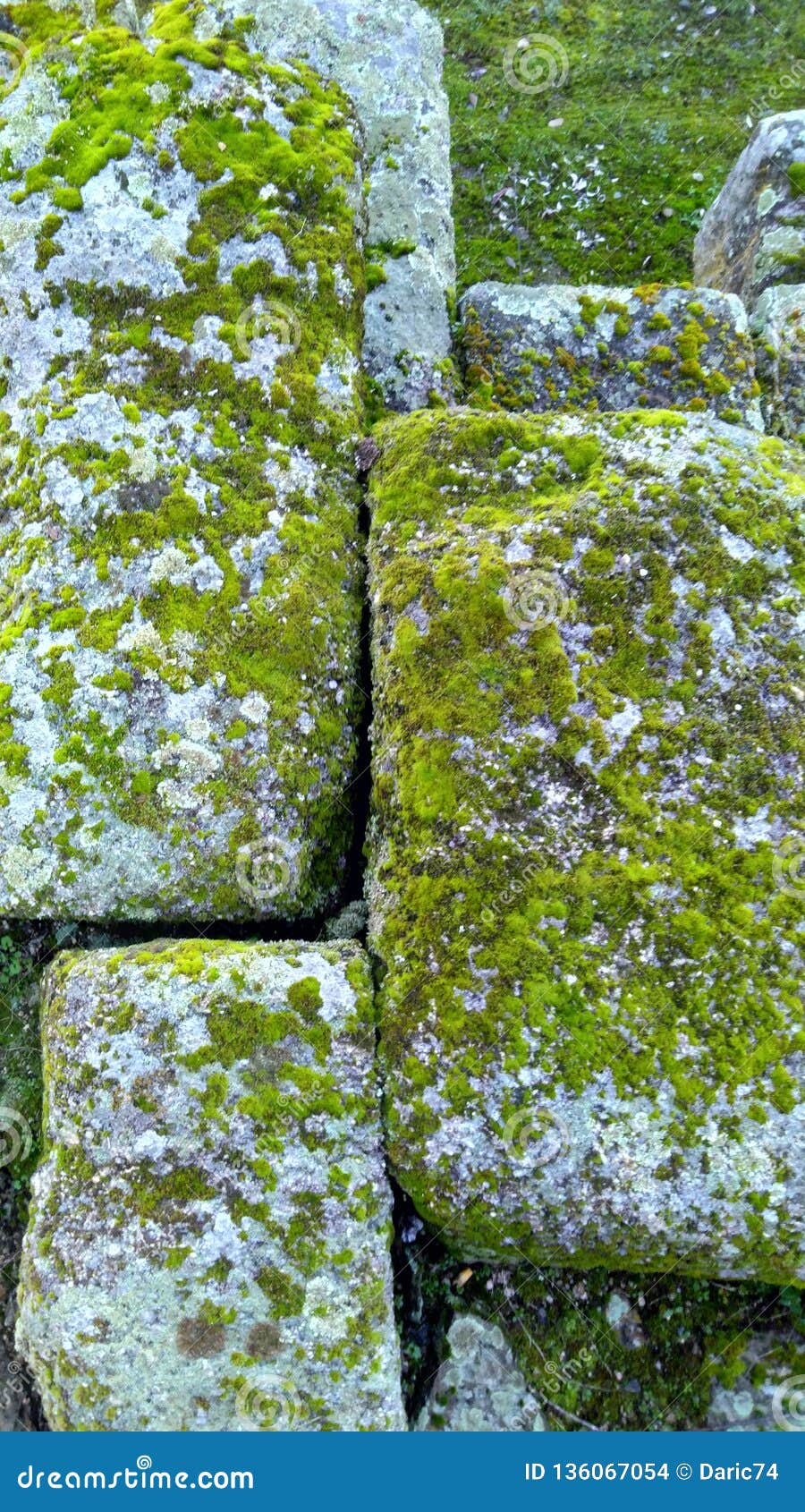 Moss in stone wall castle stock photo. Image of superfashy - 136067054