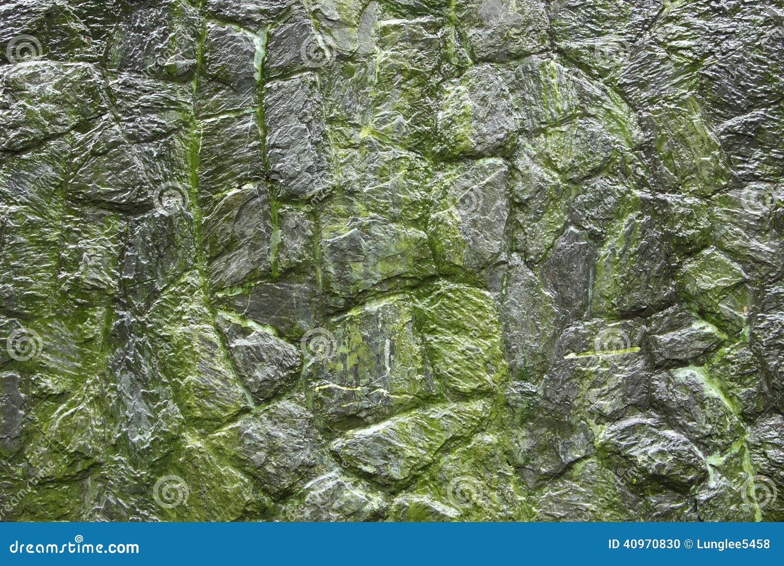Moss on stone wall stock photo. Image of moss, growth - 40970830