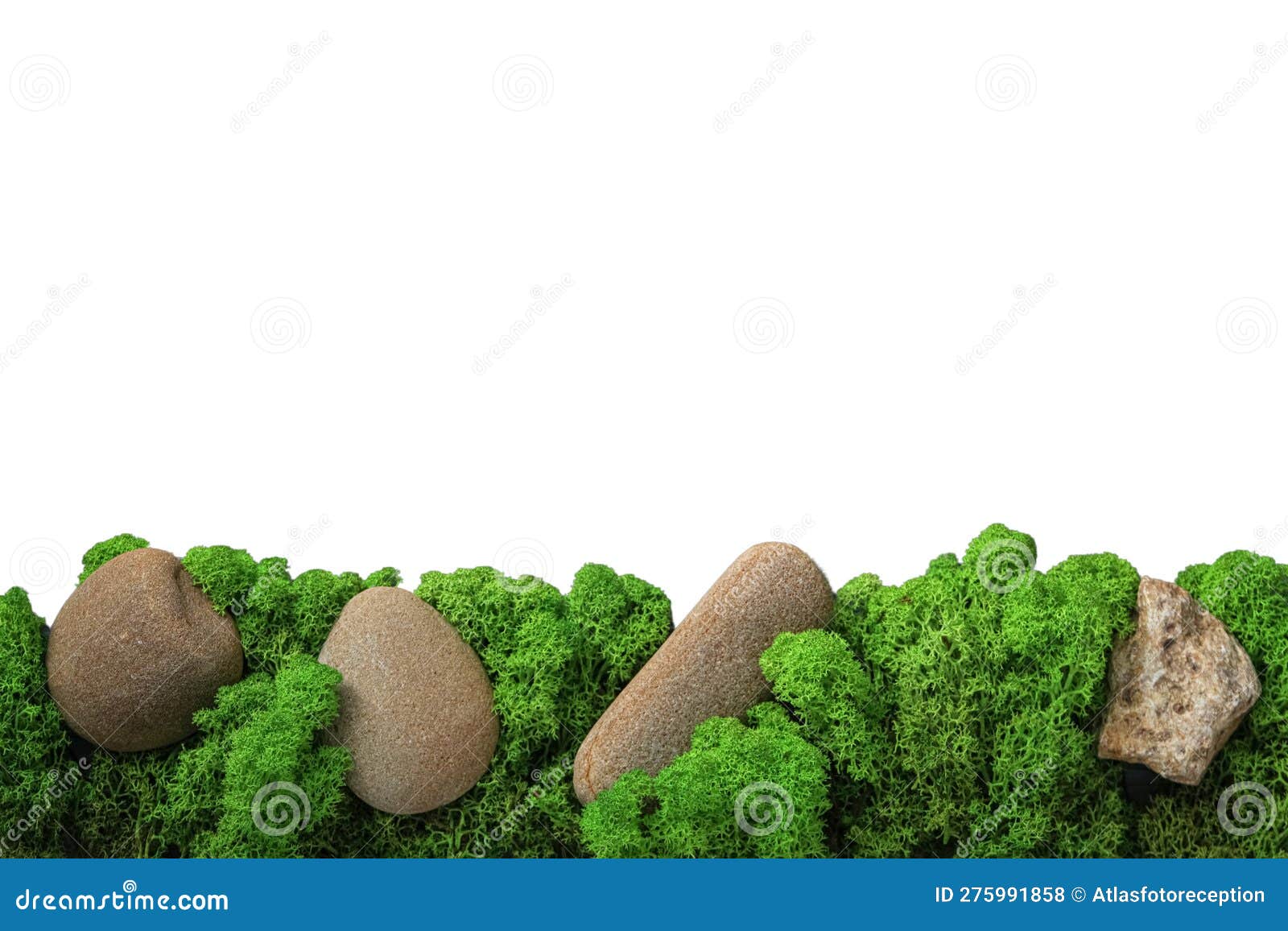 Moss with Stones Isolated on White Background, PNG Stock Photo - Image ...