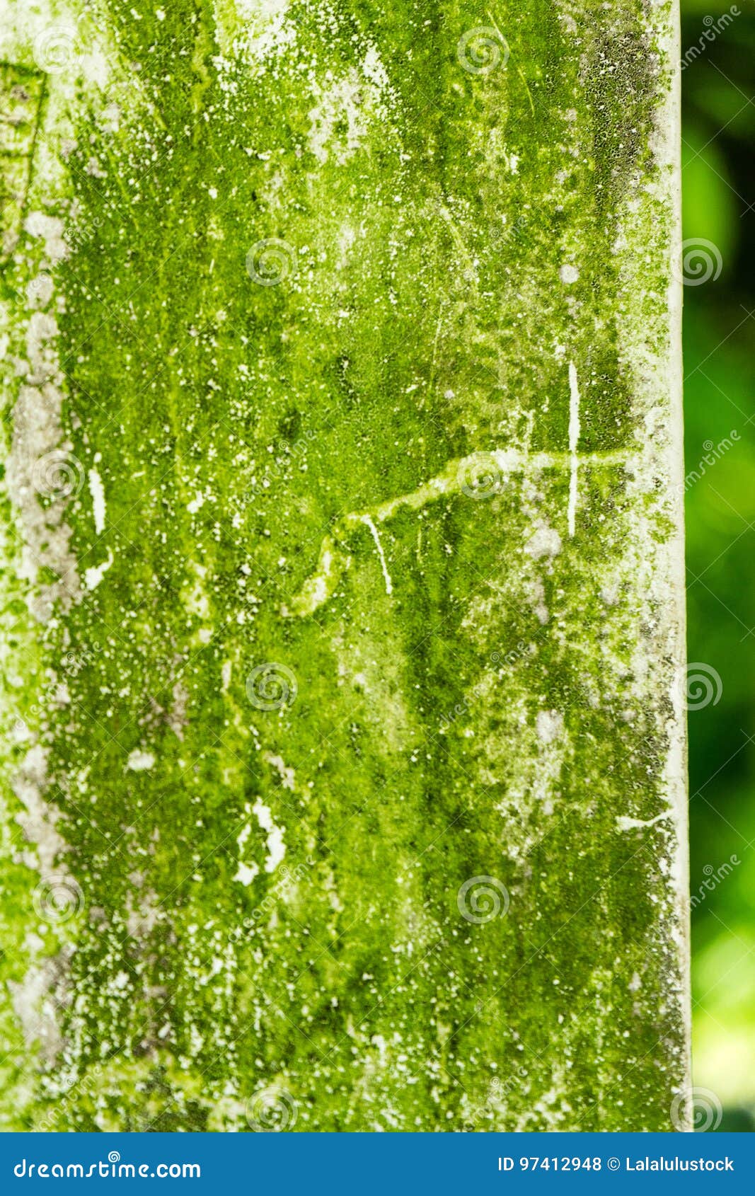 Moss on a Structure from a Building Stock Photo - Image of design ...